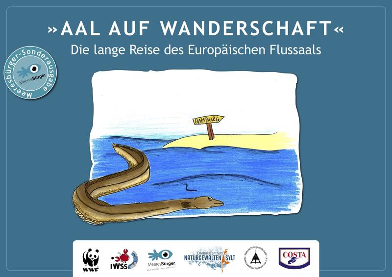 Eel Migration Game | International Wadden Sea School